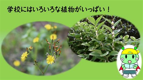 ふきまるちゃん日記