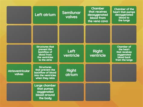 Igcse The Heart Pairs Matching Pairs