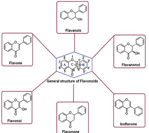 Structure Of Flavonoids Download Scientific Diagram