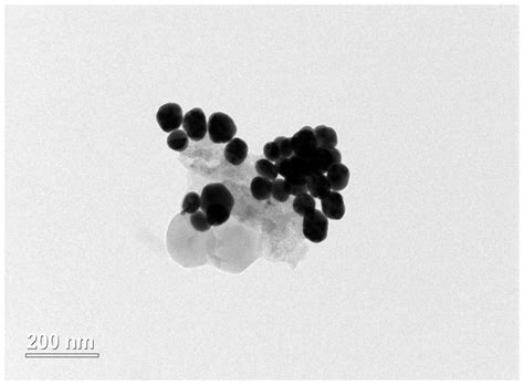 A M Ag Core Shell Nanocrystal Electrocatalyst And Its Preparation Method Eureka Patsnap