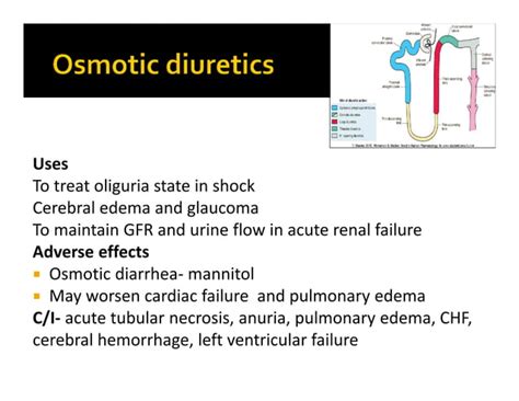 Class Diuretics Ppt