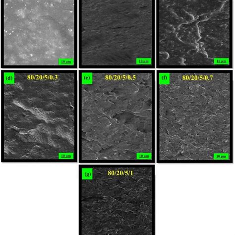 View Of Pa6 Pla Ptw Go Nanocomposite Preparation Steps [53] Download