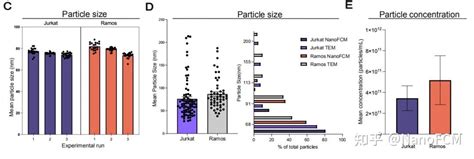Nanofcm Vs 传统流式 100 Or 1 ‰ 外泌体？ 知乎