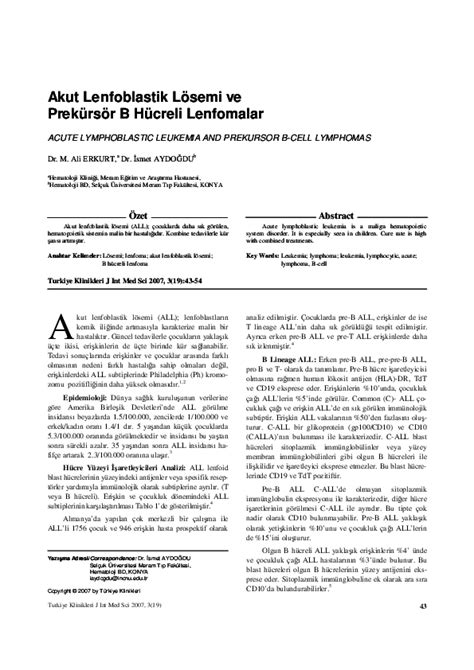 Pdf Acute Lymphoblastic Leukemia And Prekursor B Cell Lymphomas