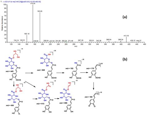 A Msms Spectra Of Ferulyl O Glyceryl Glucuronic Acid At M H − Mz