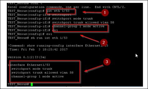 How To Setup The Vpc On Cisco Nexus 9300 Series Switches Step By Step How To It Articles