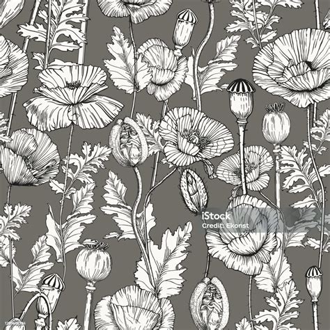 손으로 그린 양귀비 흑백 식물 잉크 드로잉이 있는 플로럴 원한 패턴 0명에 대한 스톡 벡터 아트 및 기타 이미지 0명