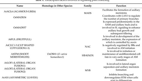Figure 1 From The Role Of Transcription Factors In The Regulation Of