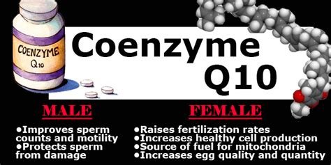Coenzyme Q10 Botanicals One