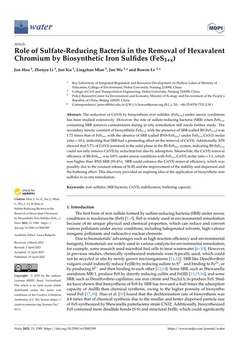Pdf Role Of Sulfate Reducing Bacteria In The Removal Of Hexavalent