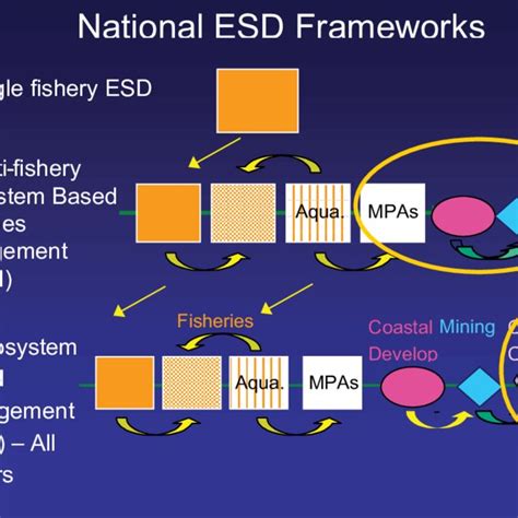 Relationship Between The Three Esd Framework Levels The Elements