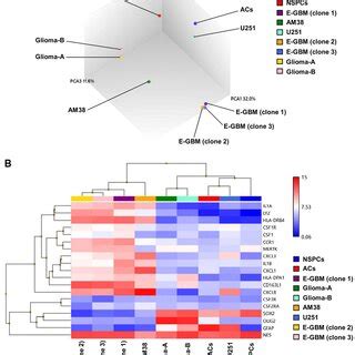 Microarray Analysis PCA A And Heat Mapping Analysis B Were
