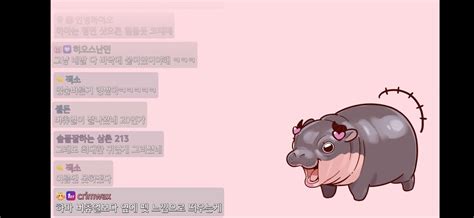 아구이뽀 하마 치지직 에펨코리아