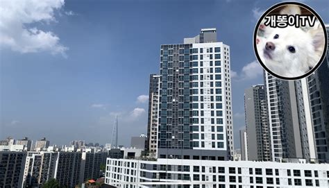 디에이치자이개포 건설현장 Korea Seoul Apartment 개포주공8단지 일원동 2021년 6월 5일