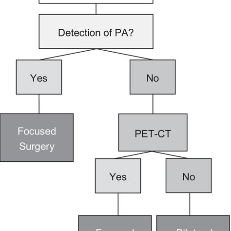 Proposed Algorithm To Localize Pa For Focused Surgery Based On Our