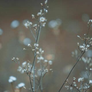 Everyday Mindfulness Simple Tools For Grounding And Presence Insight