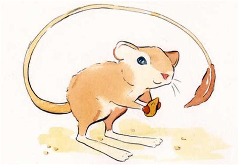 Kangaroo Rat Drawing At PaintingValley Com Explore Collection Of Kangaroo Rat Drawing