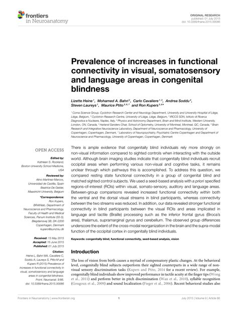 Pdf Corrigendum Prevalence Of Increases In Functional Connectivity In Visual Somatosensory
