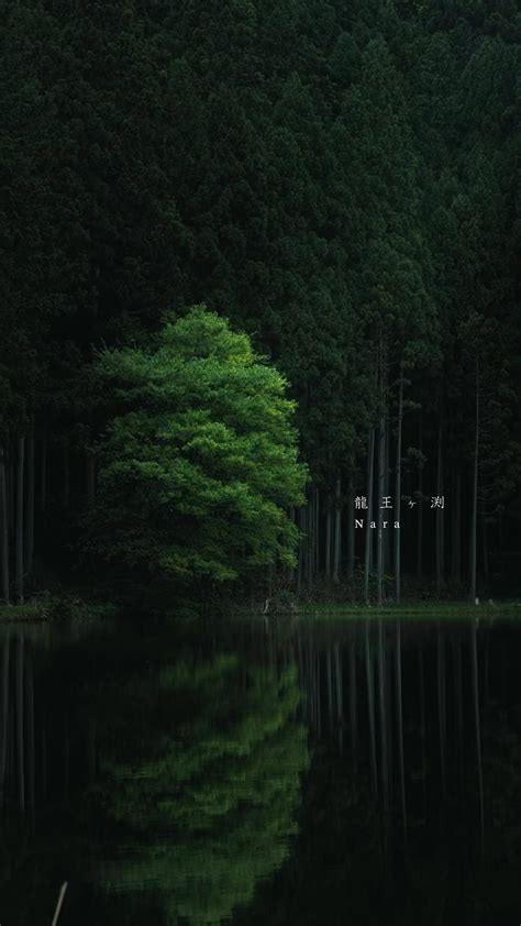 𝗧𝗮𝗸𝘂𝗺𝗮 𝘀𝗵𝗼𝗴𝗮𝗸𝗶 ギャリア二条城京都 Garryanijocastlekyoto 週末滞在してきました♪ 個人的に好