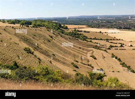 Wiltshire Terracettes After Prolonged Dry Weather During The Summer