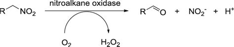 General Scheme Of The Oxidation Of Primary Nitroalkanes By Nitroalkane
