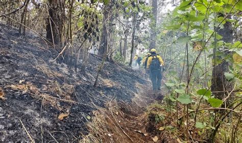 Más De 74 Mil Hectáreas Han Sido Afectadas Por Incendios Forestales En
