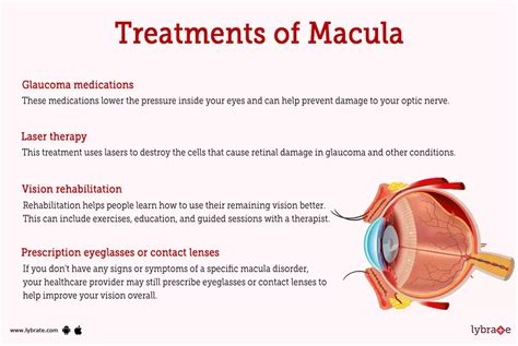 Macula Human Anatomy Image Functions Diseases And Treatments