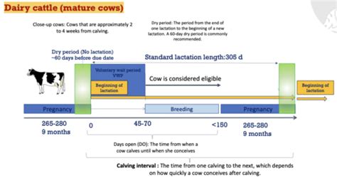Lab 6 Notes Reproductive Parameters Flashcards Quizlet