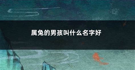 属兔名字里带什么字好帝号网
