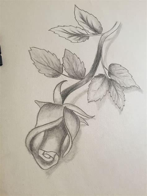 Flores Faciles Dibujos Sombreados De Flores Imagenes Para Dibujar