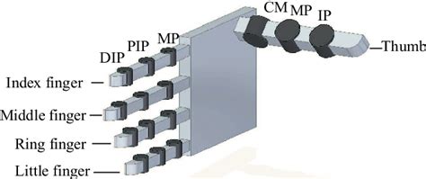 Figure 1 From An Under Actuated Robotic Hand For Multiple Grasps Semantic Scholar