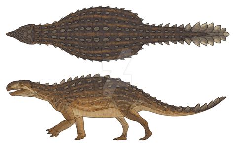 The Best Figure Of Every Species According To Halichoeres Page 129