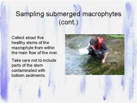 Sampling Diatoms From Running Waters Sampling Macrophytes