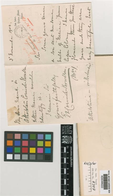 The First Letter From Mrs Cornish‐bowden To Kew Download Scientific