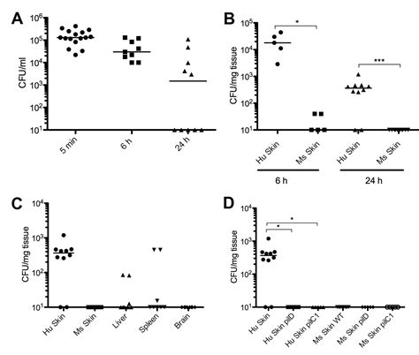 Humanized Mouse Model To Study Bacterial Infections Targeting The