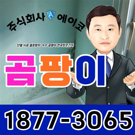 제천곰팡이제거 원주 단열시공충주 네이버 블로그