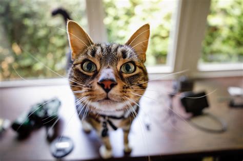 Ttfb How Fast Is A Fast Web Host Heres What I Think