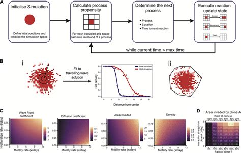 Simulating Cellular Invasion A Illustration Of Simulation Flow B