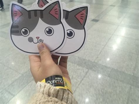 궁디팡팡 캣페스타 후기 고양이와 집사를 위한 박람회 네이버 블로그