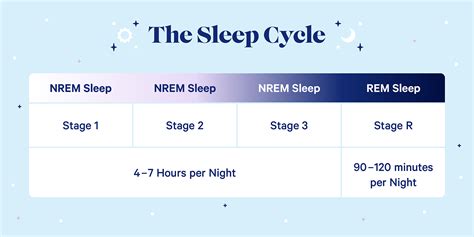 Sleep Stages Understanding Your Sleep Cycles Casper Blog