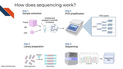 Chapter 6 Sequencing Data Choosing Genomics Tools