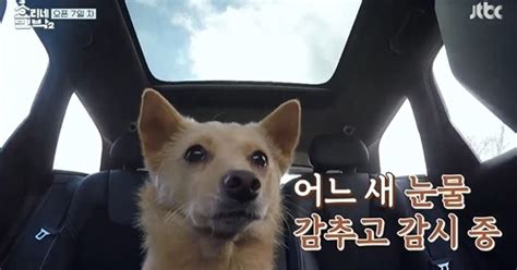 효리네 민박2 박보검 이상순 나한테 효리 누나보고 웃지 말라고 해