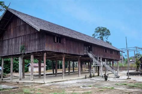 Mengenal Istilah Huma Betang Umai Dalam Budaya Dayak Okelihat