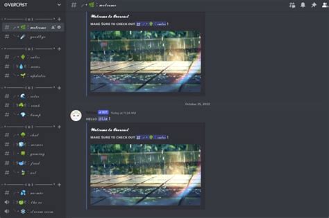 Build A Aesthetic Discord Server By Ali Is Bad Fiverr