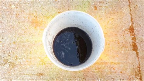 The Most Effective Tool For Extracting Microbes From Compost Youtube