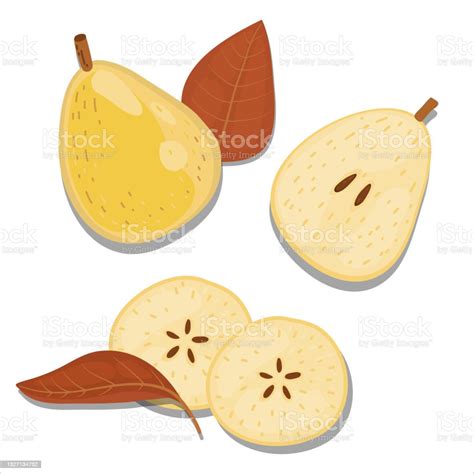 손으로 그린 플랫 레이 흰색 배경에 고립 된 성분의 음식 놀링 스타일 벡터 일러스트 가을 비건 성분 갈색 마른 잎을 곁들인 잘 익은 배 과일 0명에 대한 스톡 벡터 아트 및