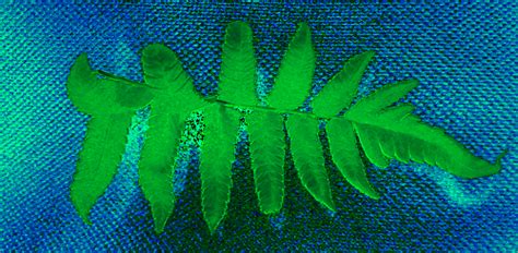 Problem In Using K Means Clustering An Image Using Java Opencv Q A Forum