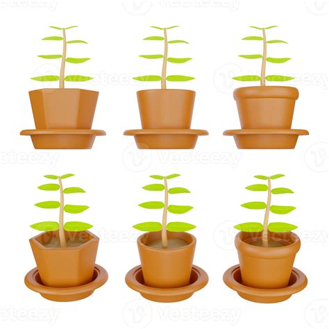 3d Rendering Of Tree In Different Shape Plant Pot With Plate 27173810 Png
