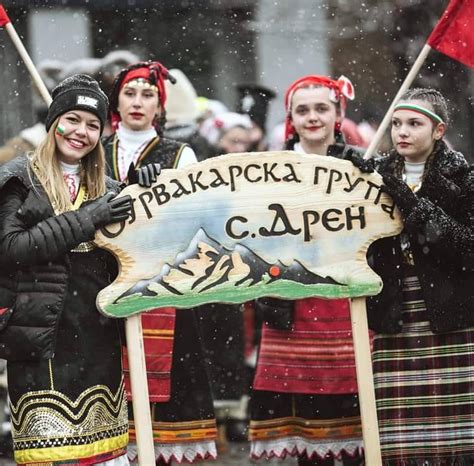 Сурвакари Дрен Събуждане