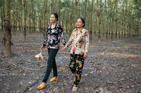 Ngoc Chau Was Exposed To A Babe Known Story Of The Past Phuong Anh Became More And More High